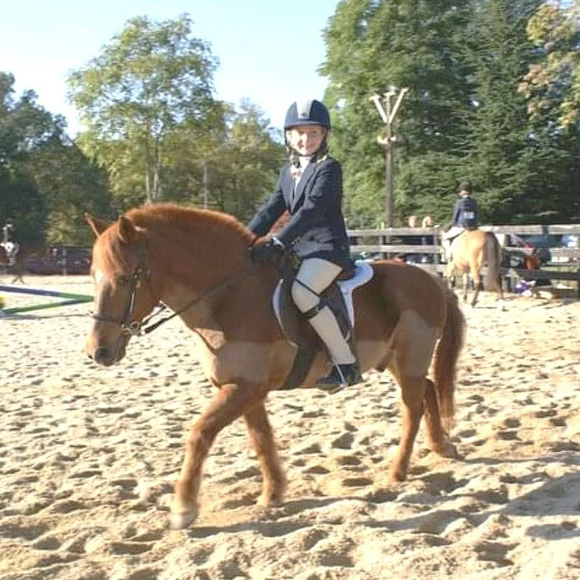 Wheaton Park Stables