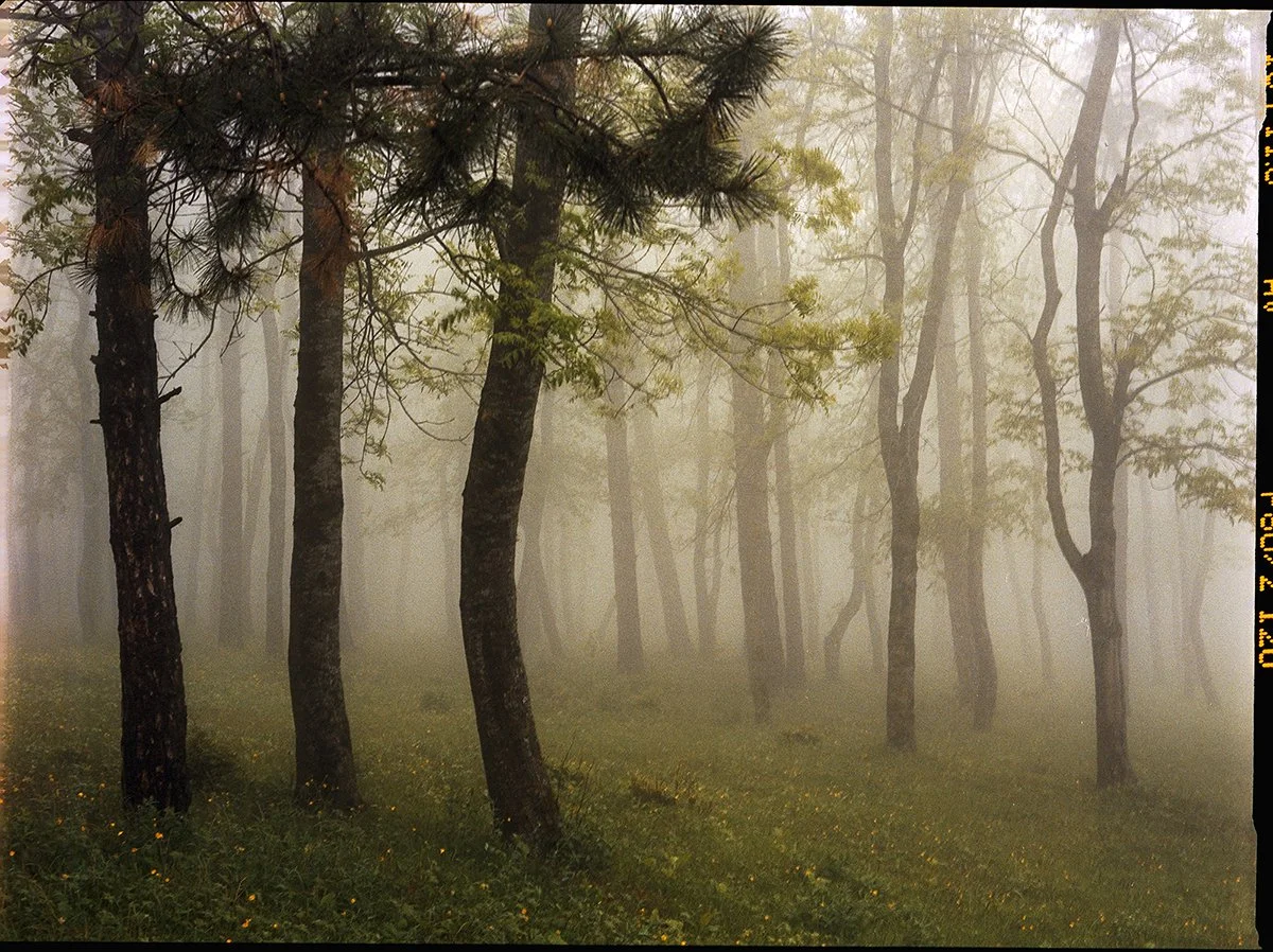 Upslope fog in May — Mariam Sitchinava
