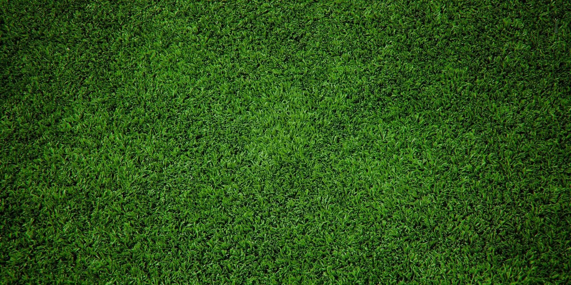 Employment — Stark Landscape