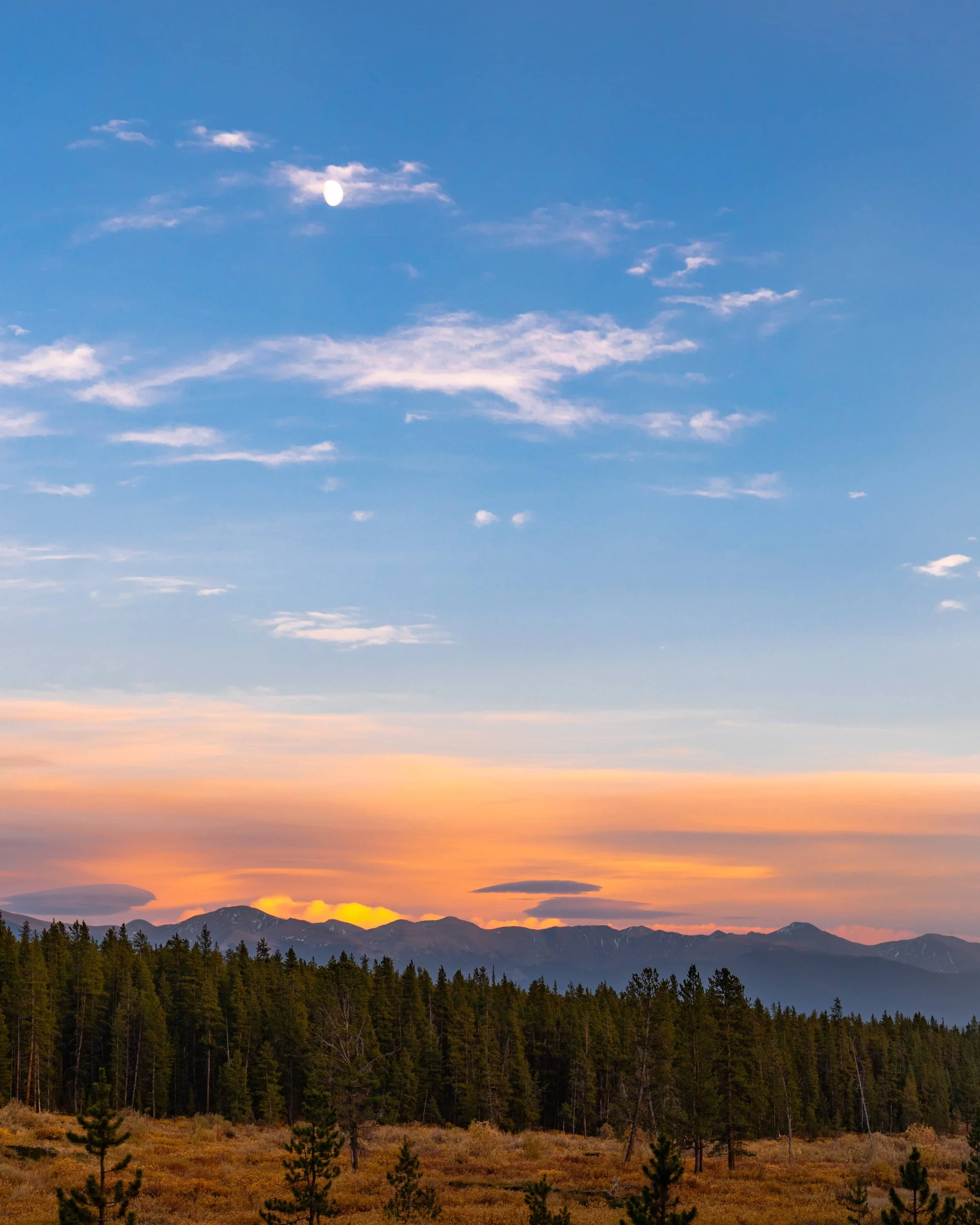 Peer Certification | Advance Your Credentials Today — Resilient Colorado