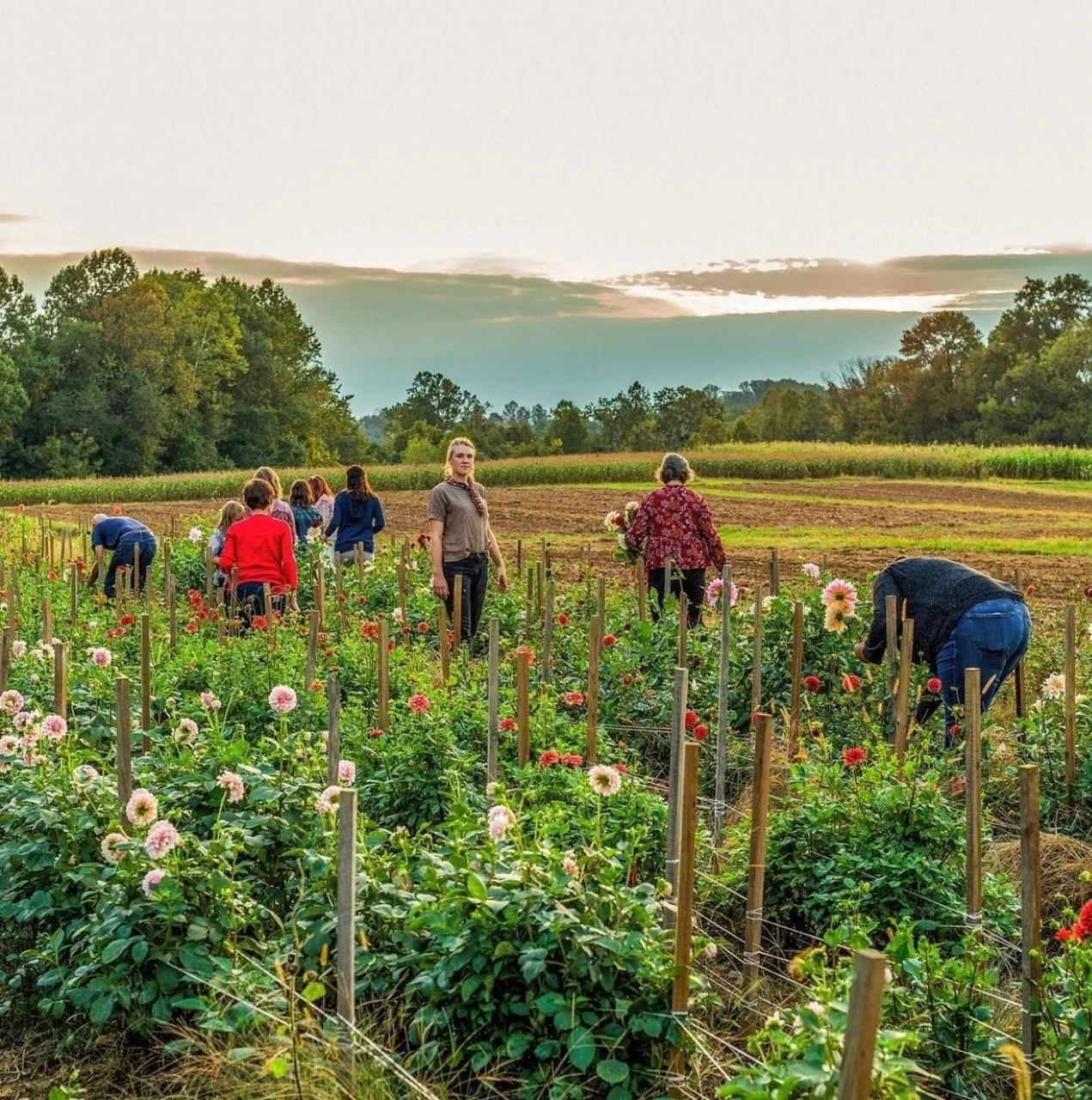 About — URBAN ROOTS FARM