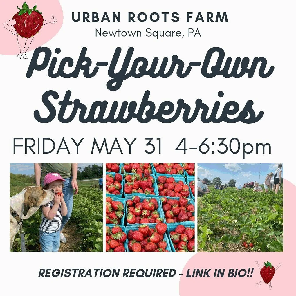 URBAN ROOTS FARM