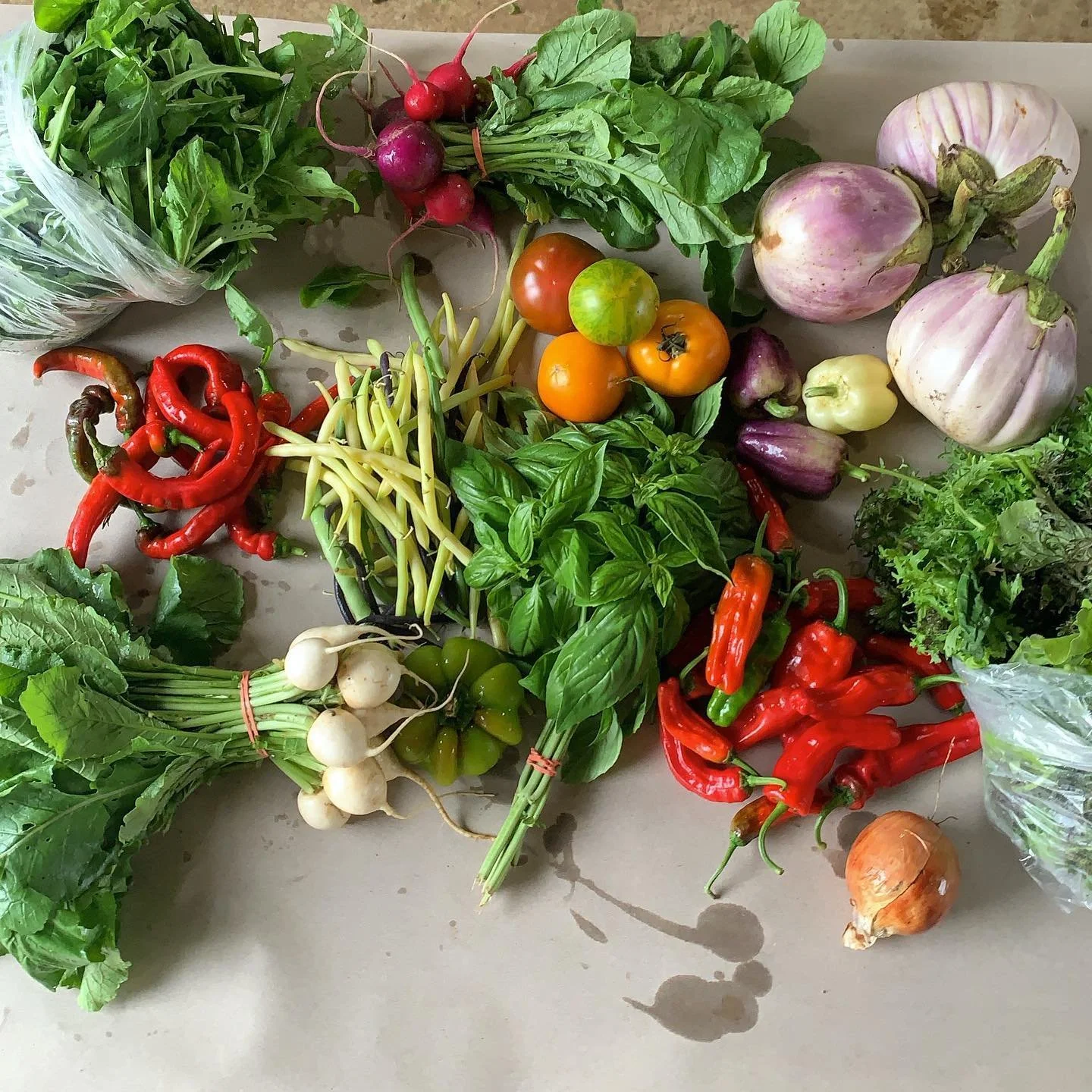 About — URBAN ROOTS FARM