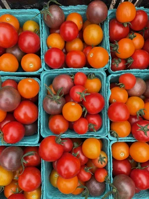 Sign up for Urban Roots Farm 2026 CSA — URBAN ROOTS FARM