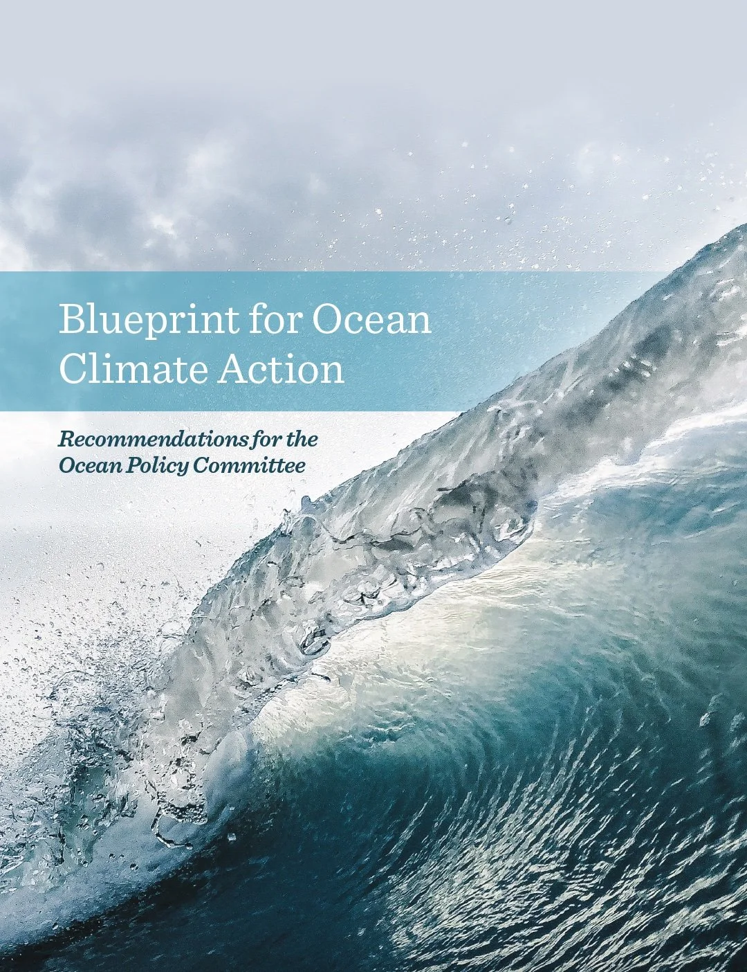 Blueprint for Ocean Climate Action — Healthy Ocean Coalition