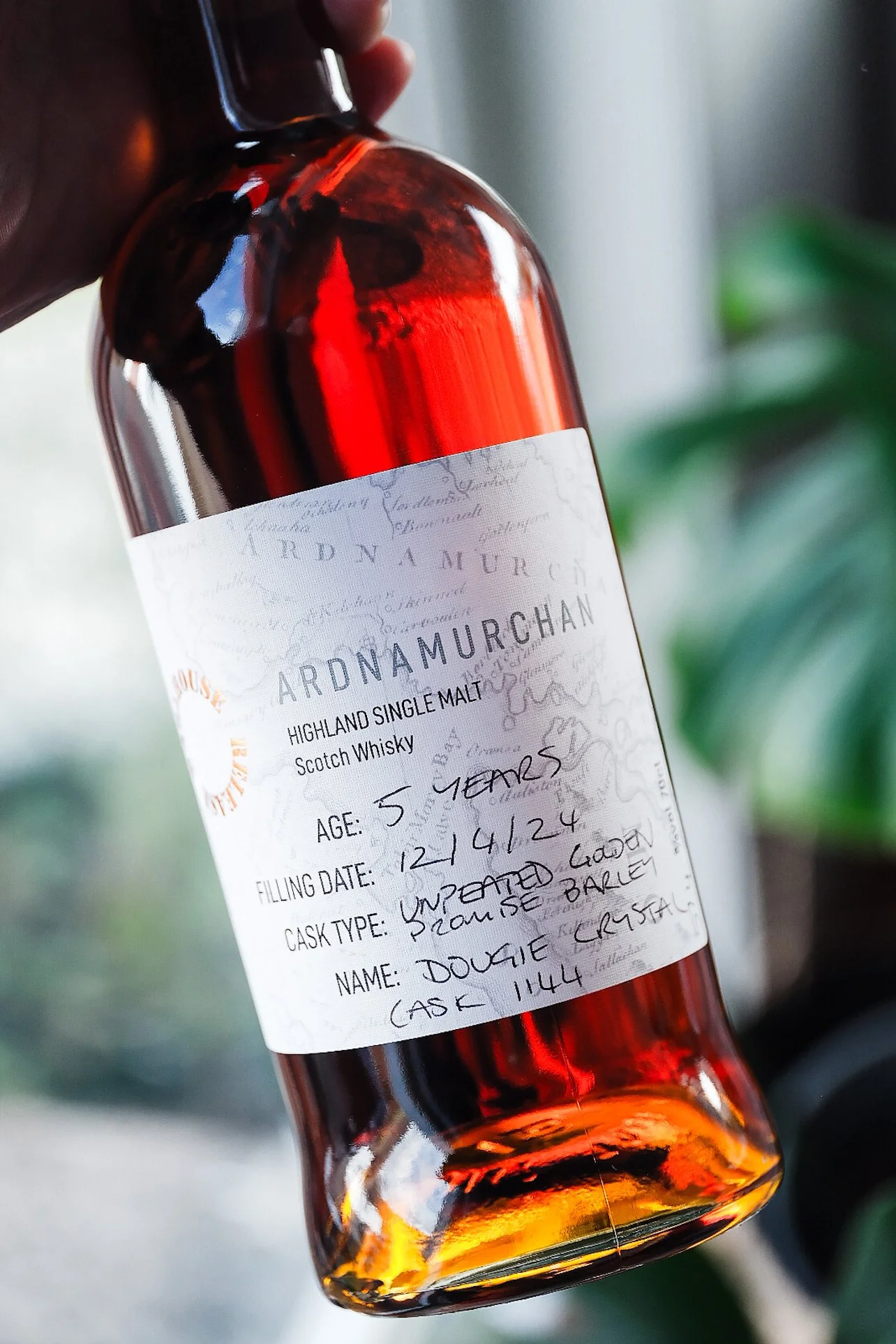 Ardnamurchan Golden Promise — Dramface