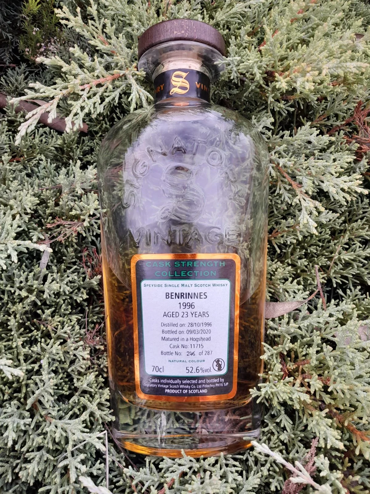 Benrinnes 23yo Signatory — Dramface