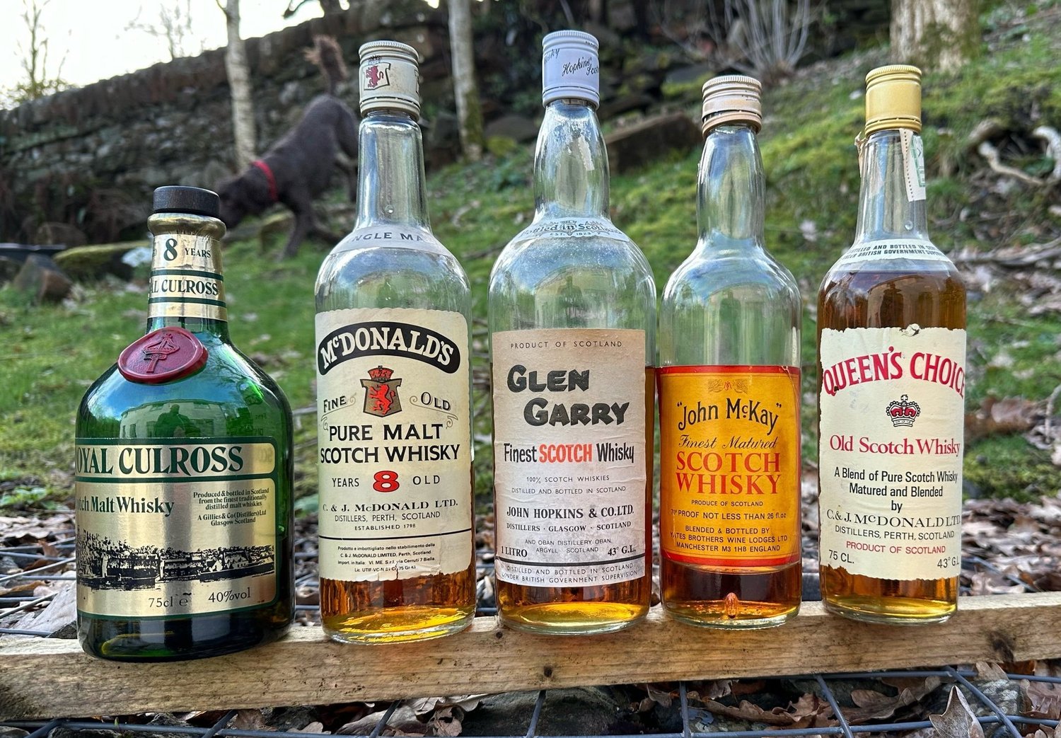The Colour of Whisky — Dramface