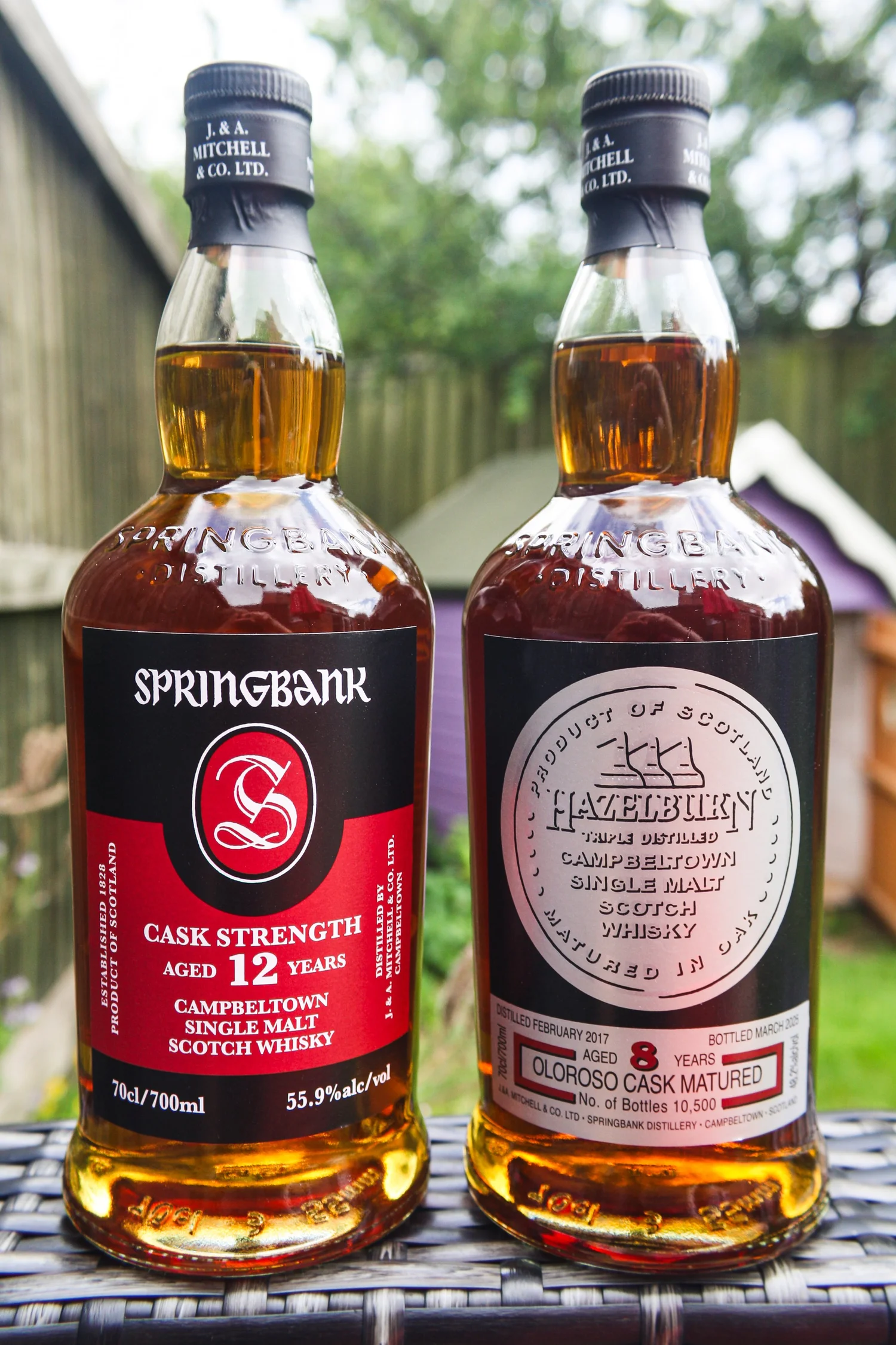 Springbank 12yo & Hazelburn 8yo 2025 — Dramface