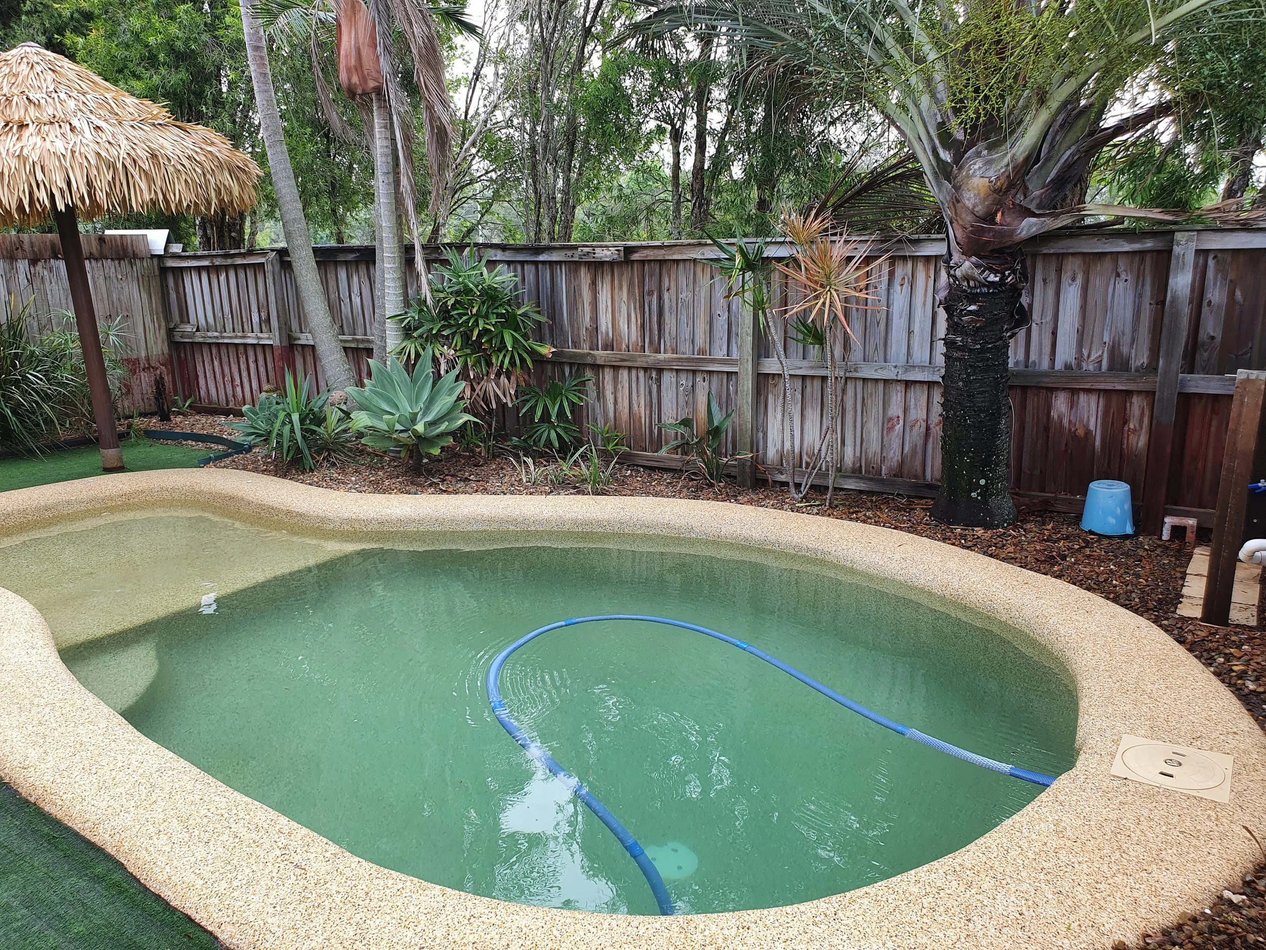 Endless Summer Pool Care