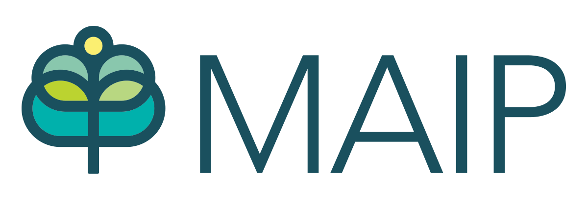 MAIP - Multicultural Advertising Intern Program — Jen Li