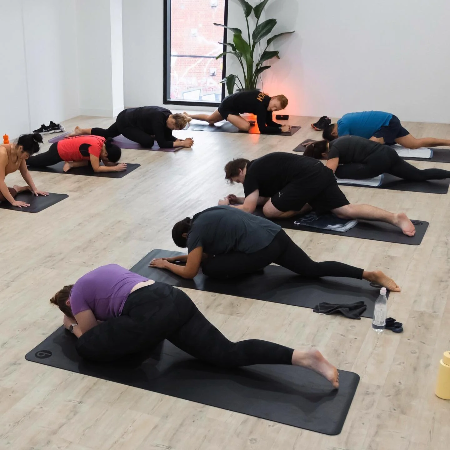 OSTEOPATHY and PHYSIOTHERAPY — Movement Collective & Performance