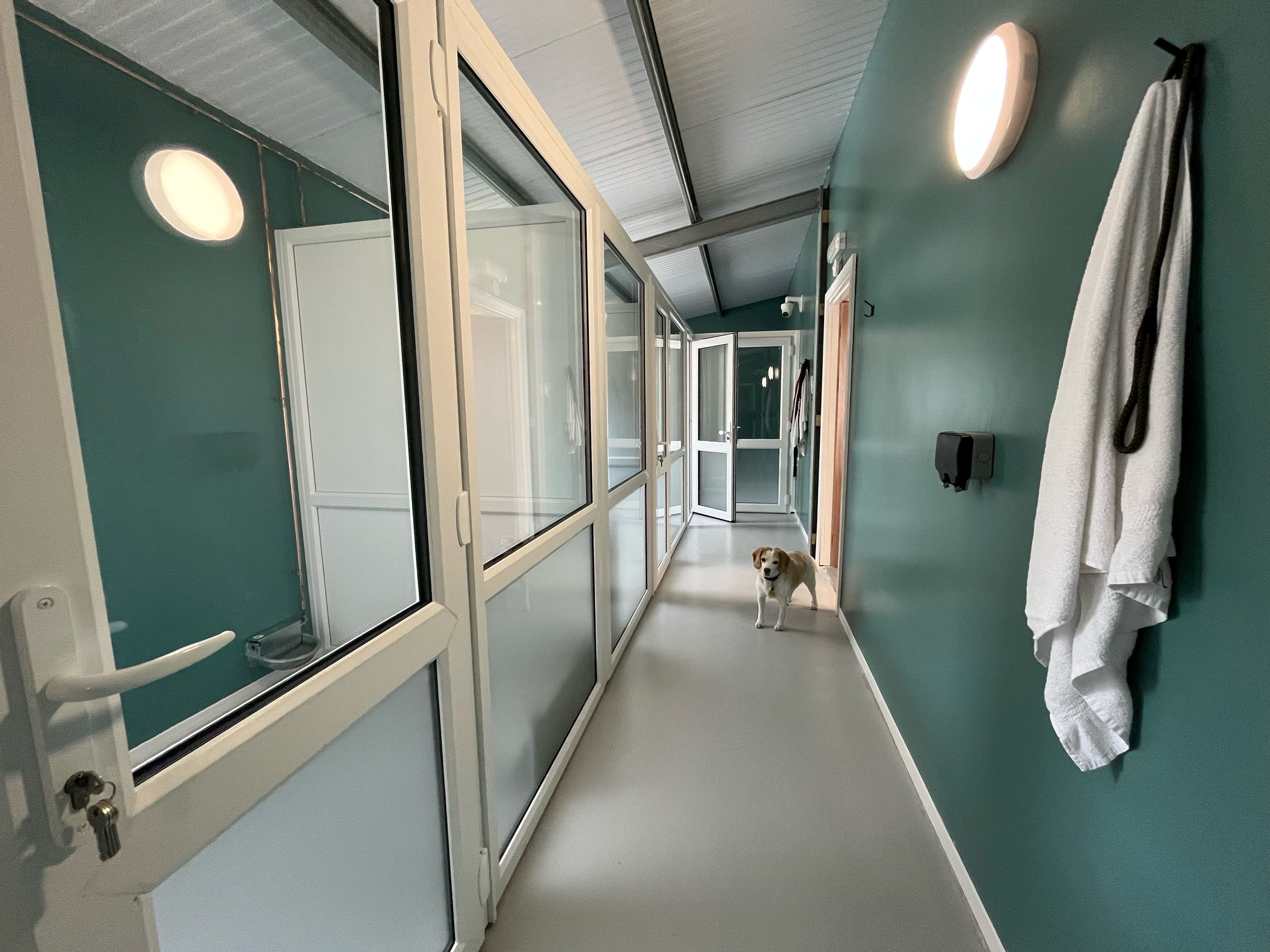 Luxury dog boarding set in 30 acres of the Ceredigion countryside, your ...