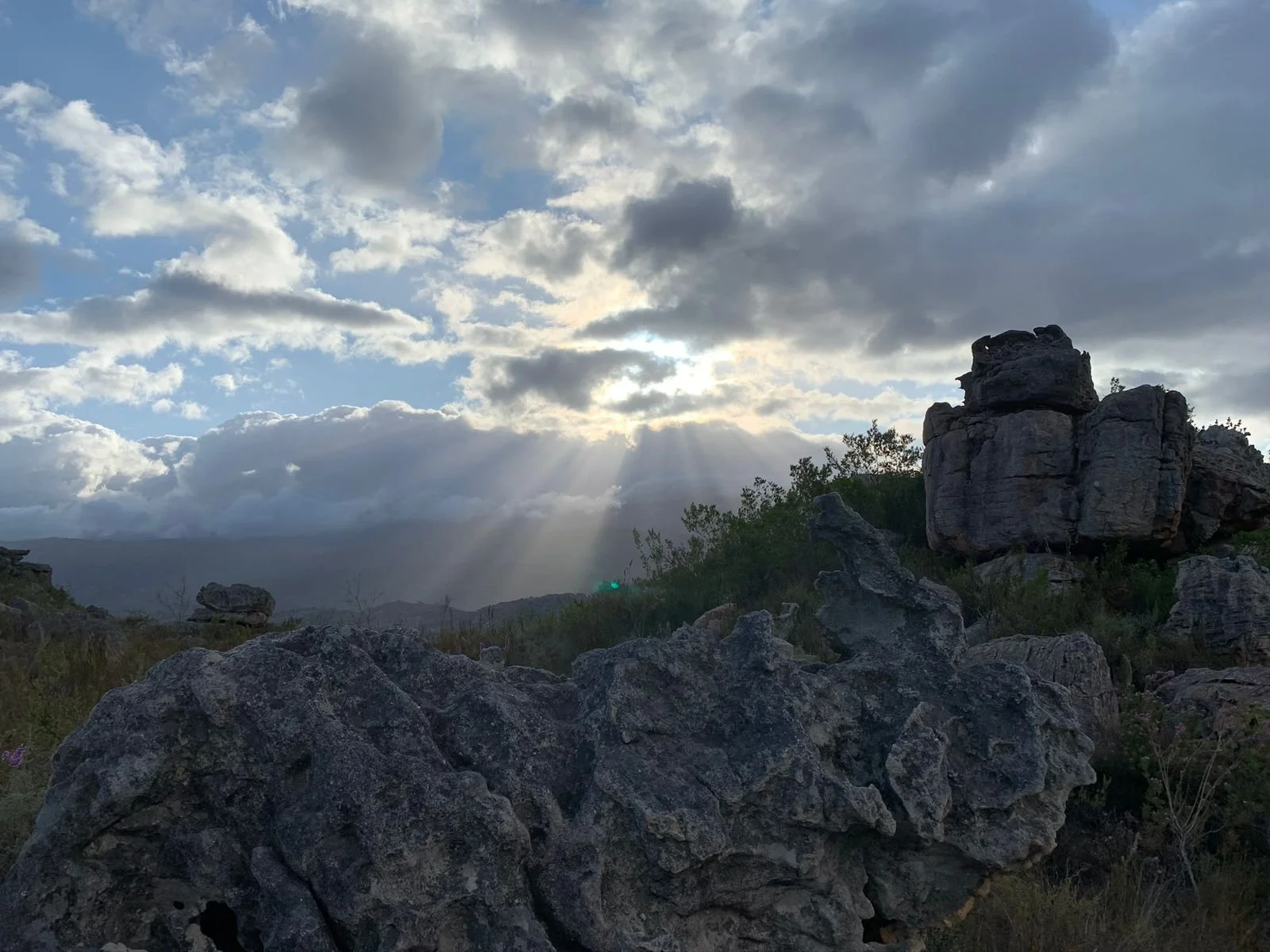 General 1 — EARTHLINK FAST