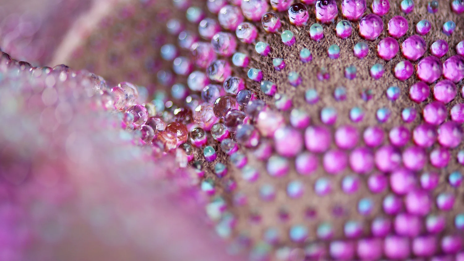 3D Printed Fashion Swatches — 3DFashion Stratasys