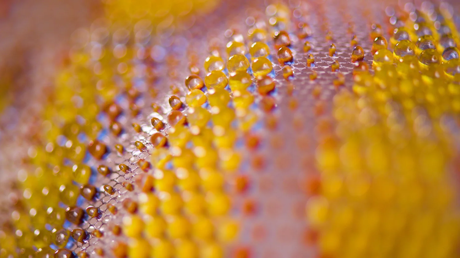 3D Printed Fashion Swatches — 3DFashion Stratasys