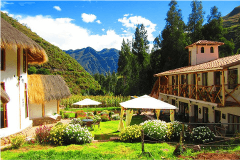 9 Best Kambo Retreats [in 2025] — SiteSee