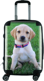 10 Best Customizable Luggage Brands [2024] — SiteSee