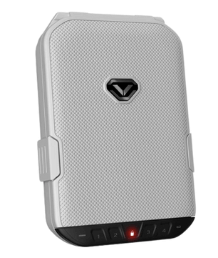 13 Best Portable Travel Safes in 2023 — SiteSee