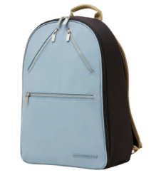 10 Best Backpacks with a Trolley (Luggage) Sleeve — SiteSee