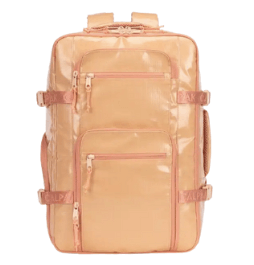 10 Best Backpacks with a Trolley (Luggage) Sleeve — SiteSee