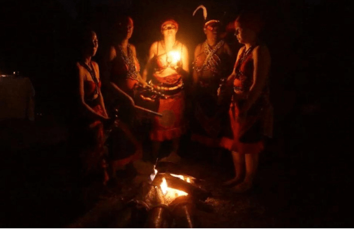 10 Best Iboga Retreats [for 2025] — SiteSee