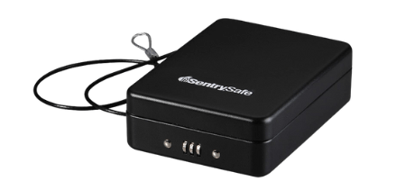 13 Best Portable Travel Safes in 2023 — SiteSee