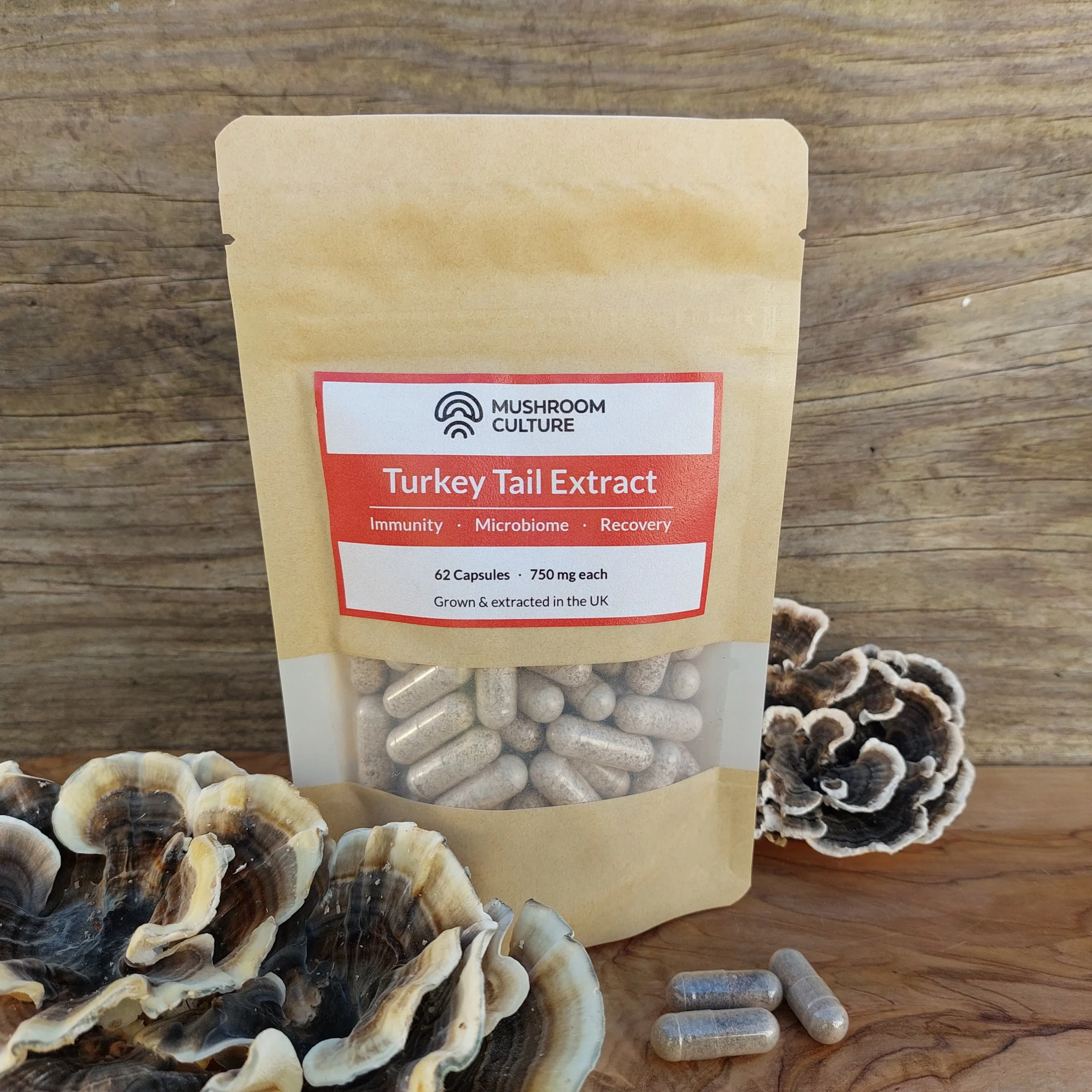 Health Benefits of Turkey Tail Mushrooms — Mushroom Culture