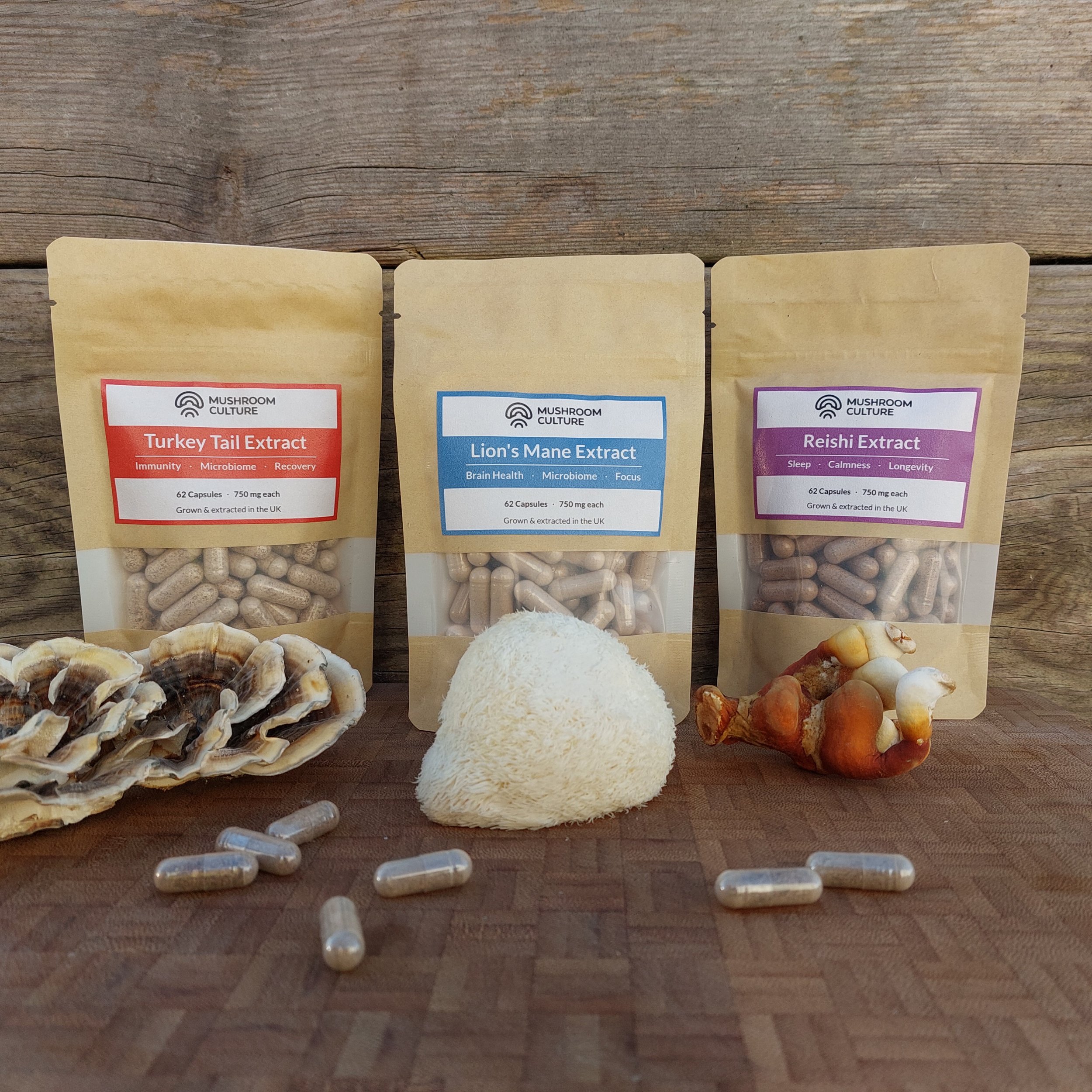 How to Make Mushroom Extracts - Functional Mushrooms — Mushroom Culture