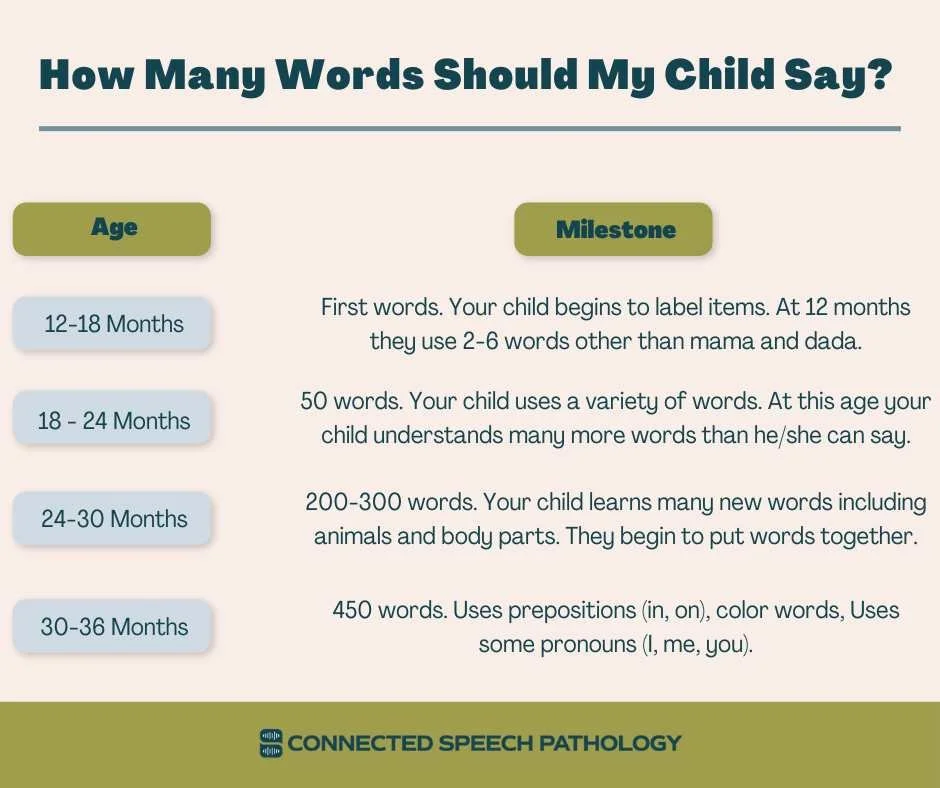 What if Your 2-Year Old is Not Talking But Understands You?