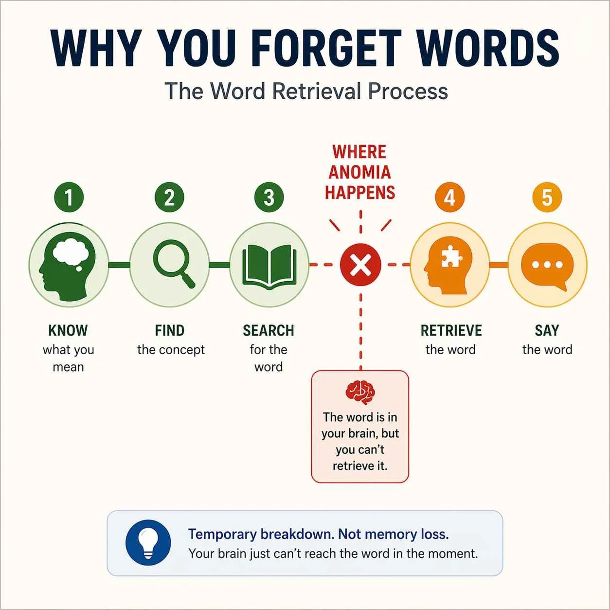 Anomia Word-Finding Difficulty – Why You Forget Names of Everyday ...