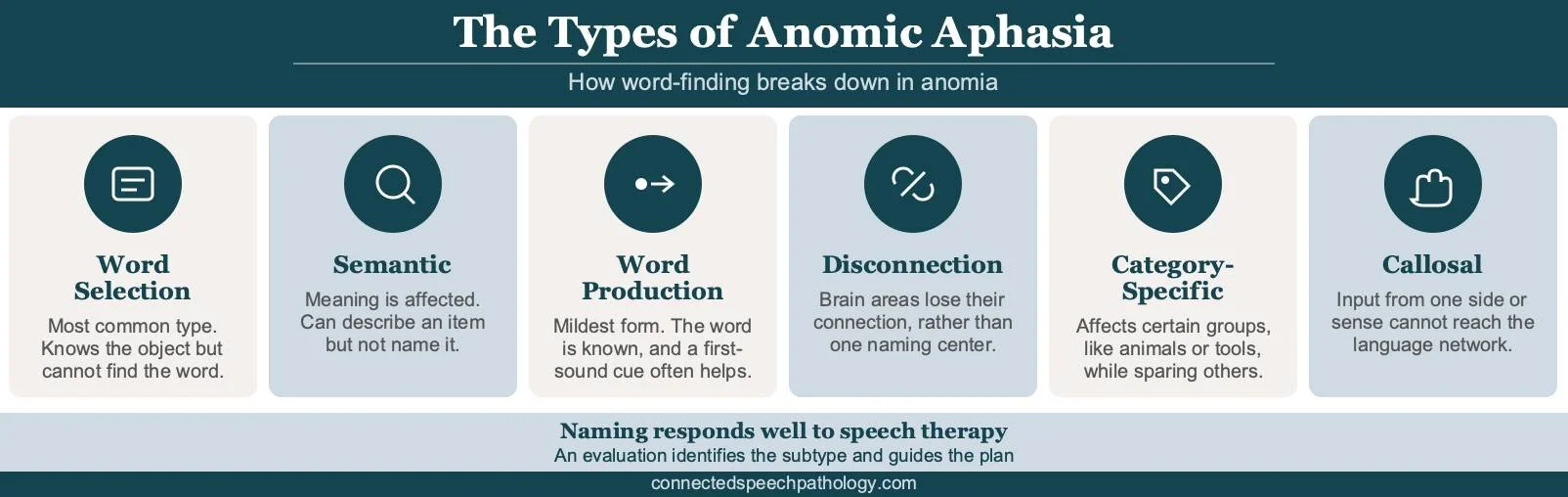 Anomic Aphasia: Symptoms, Causes, and Treatment – Why Word-Finding ...