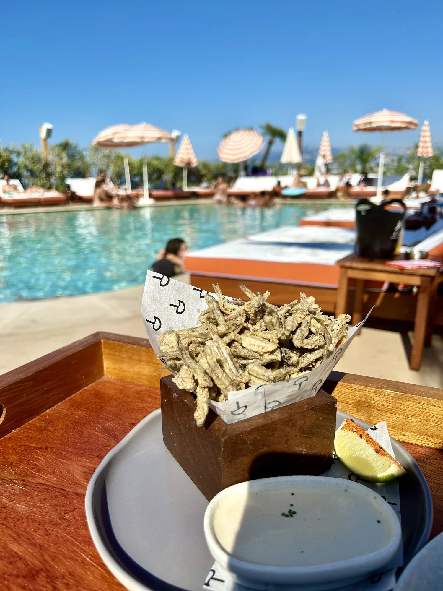 Top Beach Clubs and Summer Tips in Lebanon — Trip Whisperer