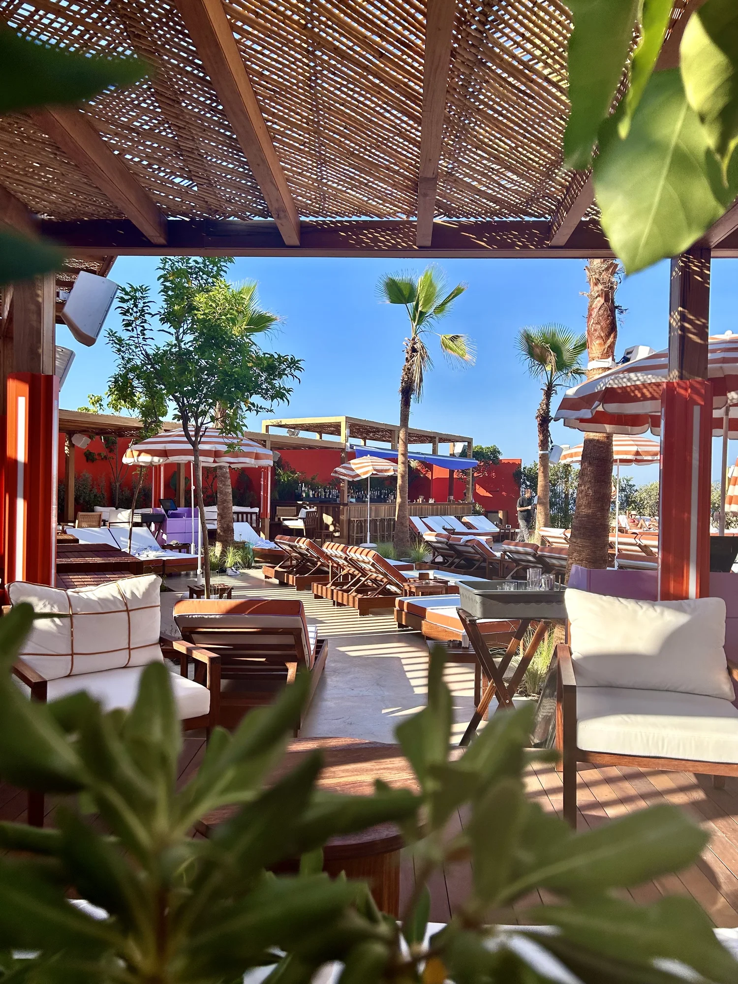 Top Beach Clubs and Summer Tips in Lebanon — Trip Whisperer