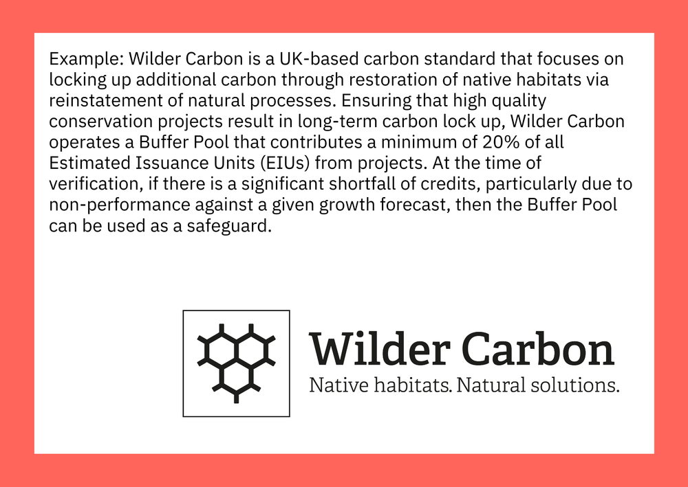 Kita Considers: Emerging carbon standards focused on nature-based solutions — Kita