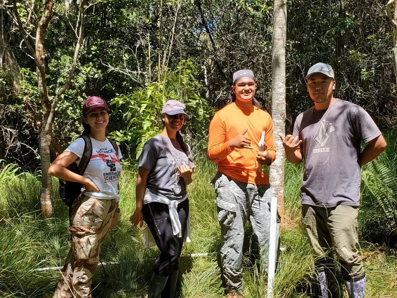 Forest Solutions Inc.