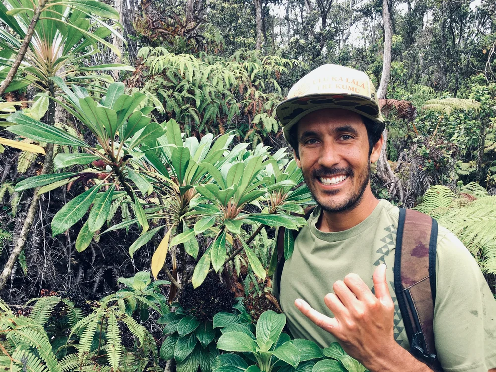 About Us — Forest Solutions Inc.