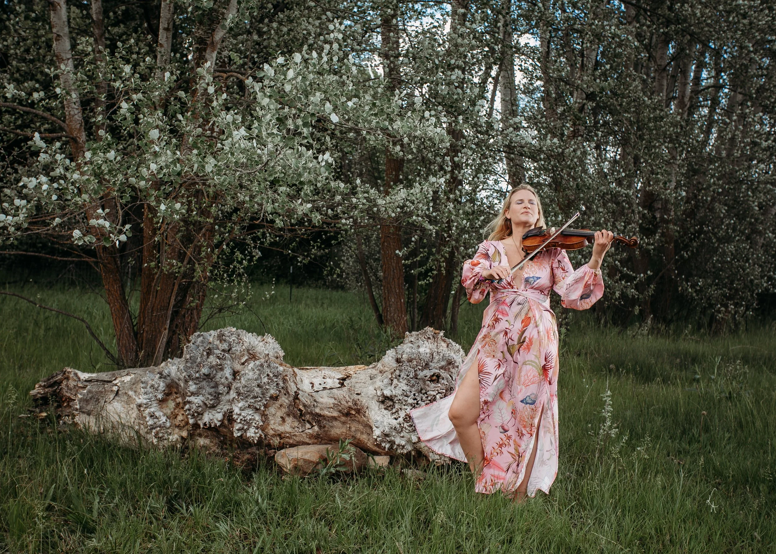 Laura Escudé - Official Website