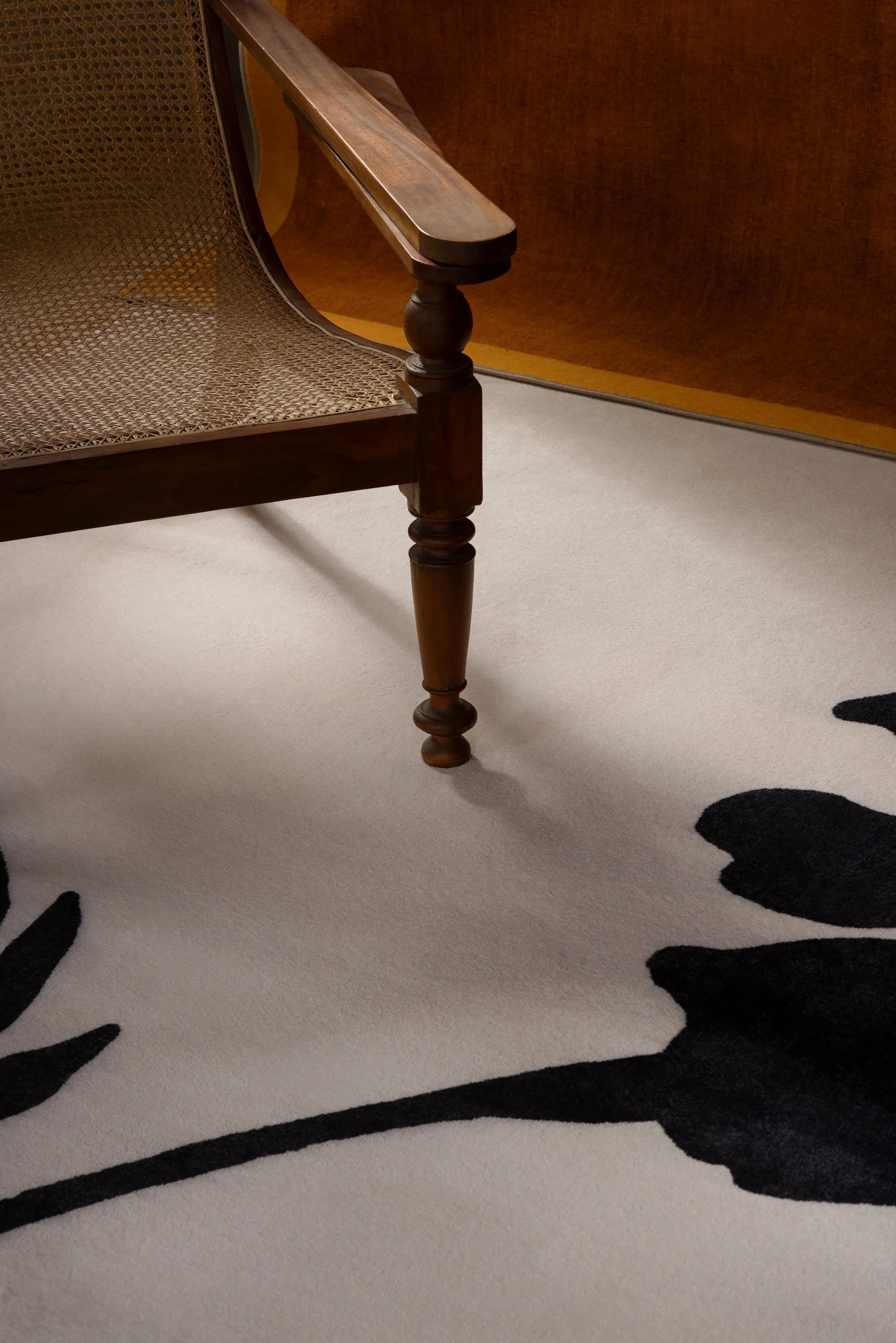 The Local Project x Ruggable — Brahman Perera.