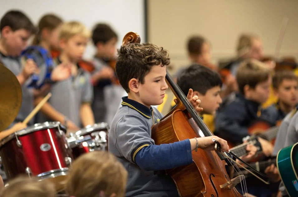 Culture — Napier Central School