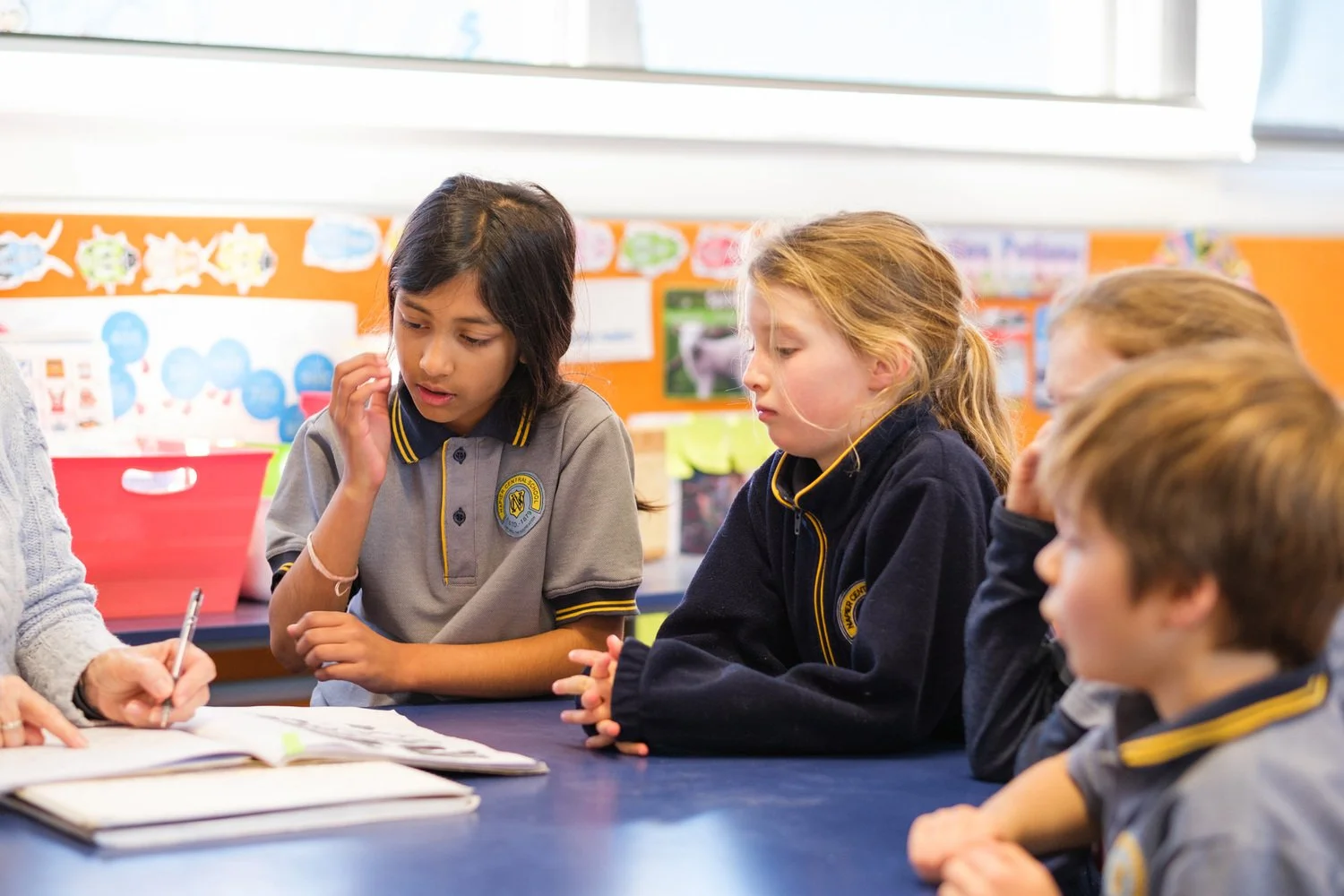 Napier Central School