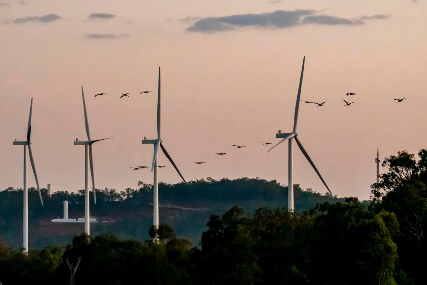 Keep Chalumbin Wild — Rainforest Reserves Australia