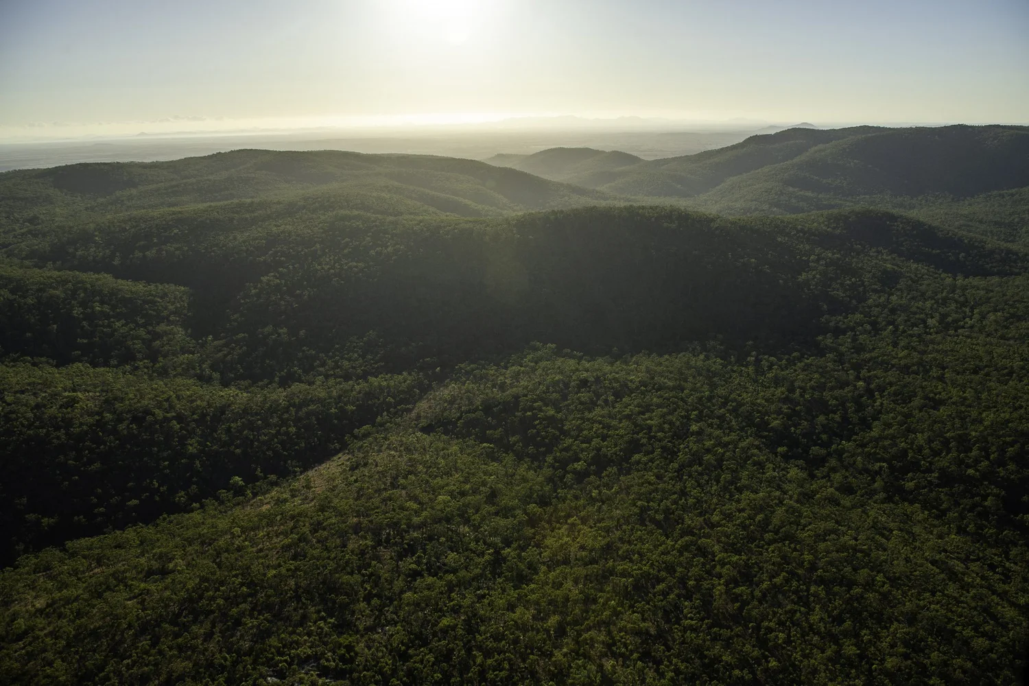 General 1 — Rainforest Reserves Australia