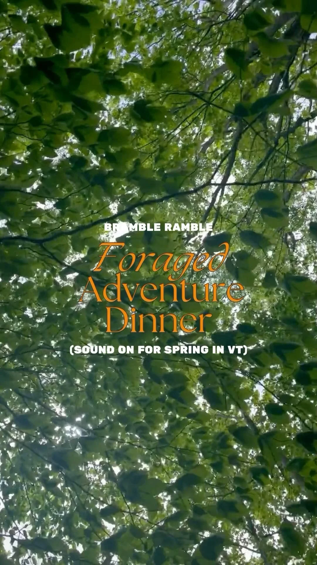 Adventure Dinner