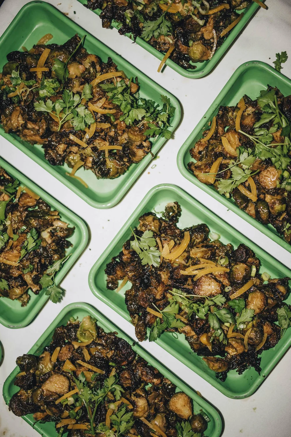 Party Catering Drop-Off — Adventure Dinner