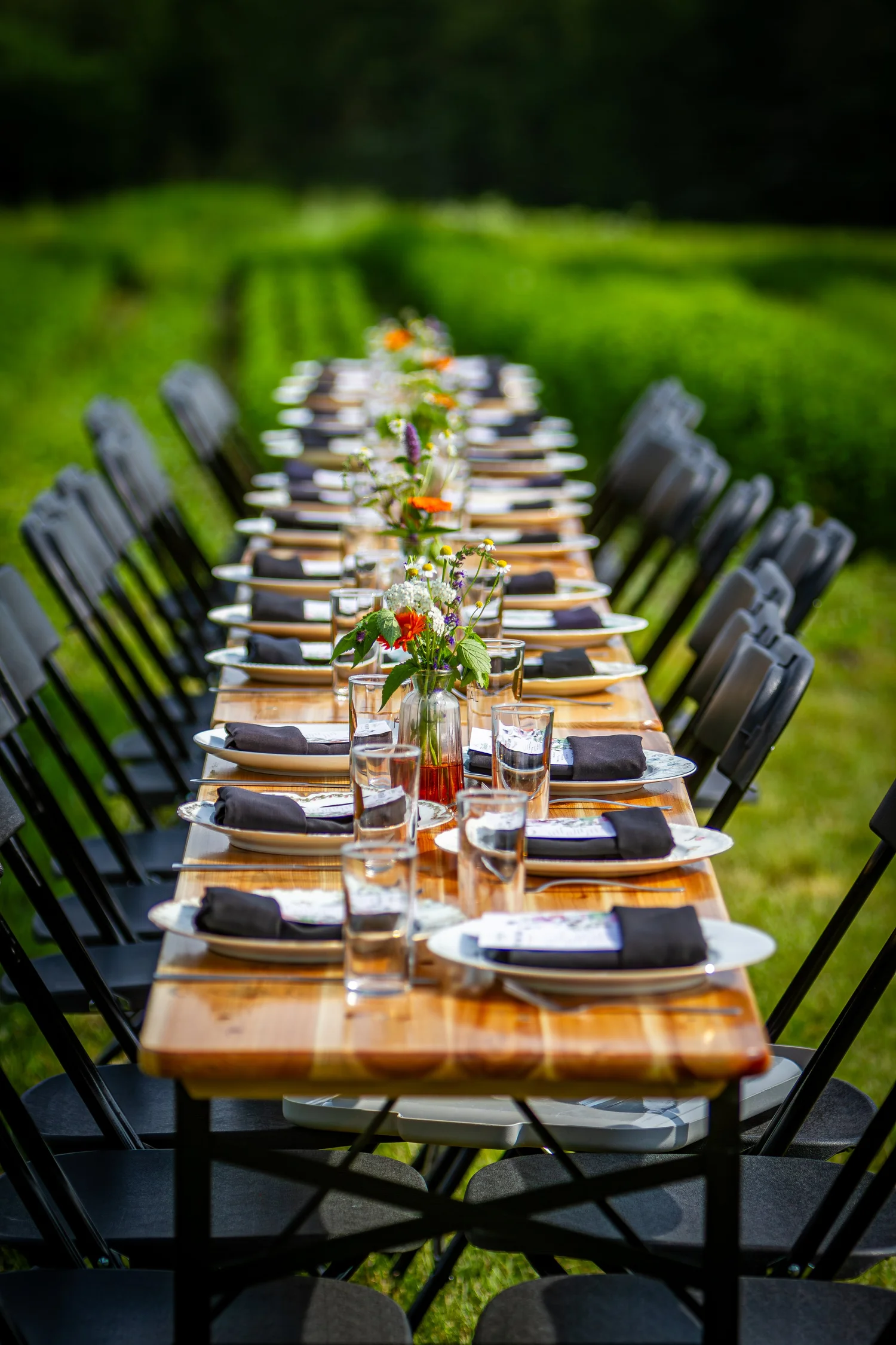 Wilson Herb Farm — Adventure Dinner