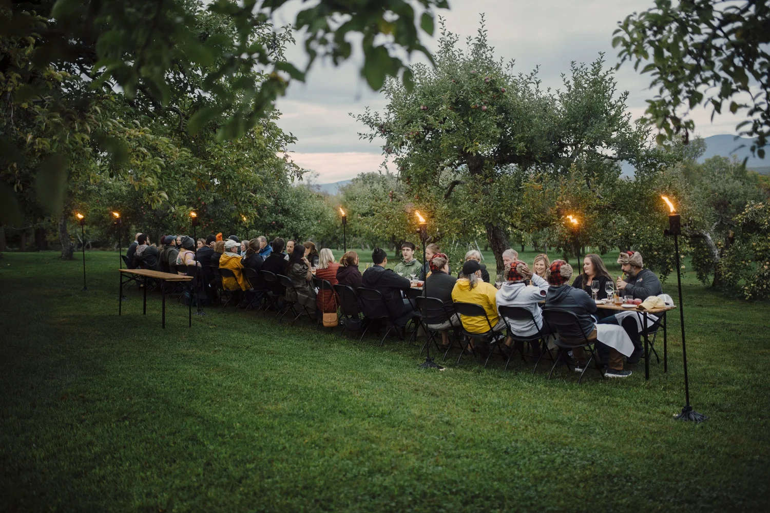 Adventure Dinner