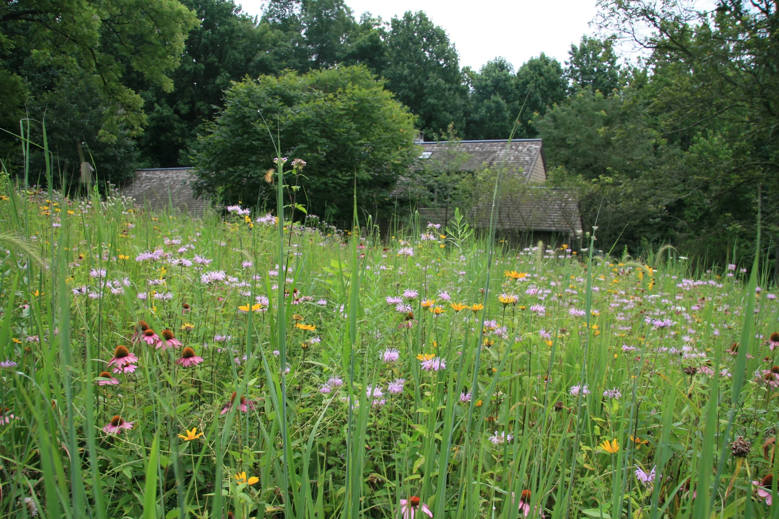 NDAL: New Directions in the American Landscape