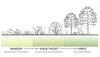 Wildflower Meadows: Let’s Get Real — NDAL: New Directions in the ...
