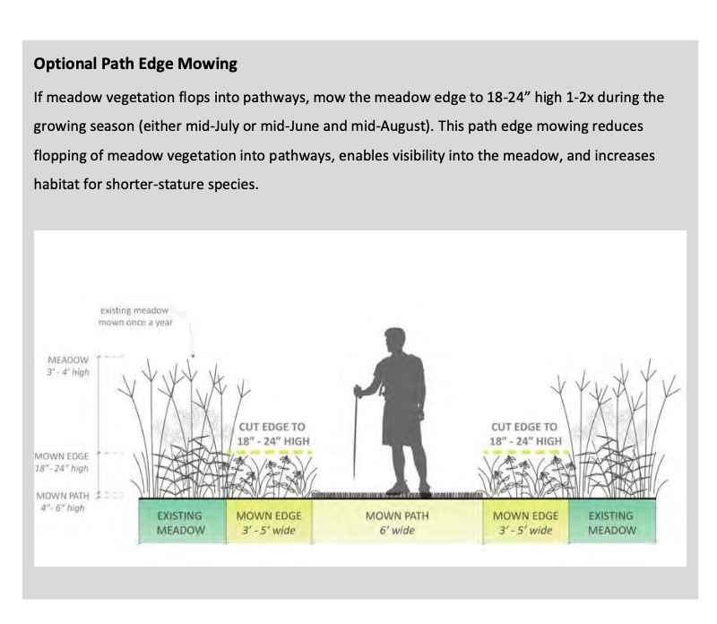 Meadow Making Home Gardener Intensive Sept 2025 — NDAL: New Directions ...